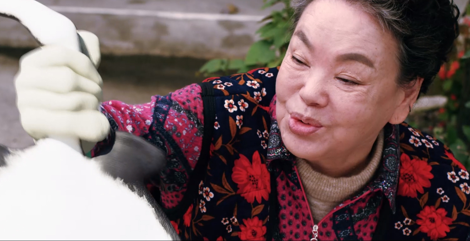 The Late Kim Soo-mi's Final Comedy Film 'The Revenge of the Skate' to ...