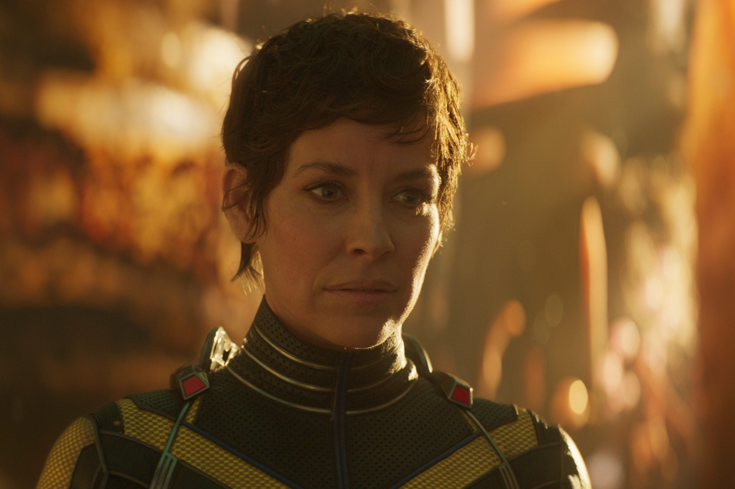 'Wasp' Evangeline Lilly Stops Activities Due to Traumatic Brain Injury ...